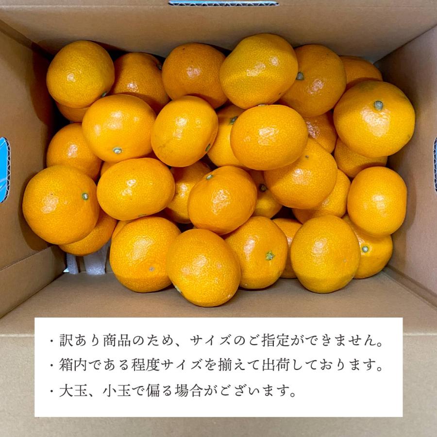みかん 甘い ご家庭用 2kg 訳あり お試し 2S〜3Lサイズ 10個〜30個前後入り 愛媛 西宇和 八幡浜 ミカン 蜜柑 サイズおまかせ 010137000404 :emikan-w2 ...