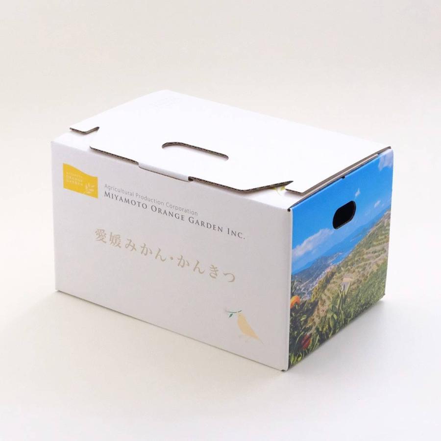 みかん 甘い ご家庭用 2kg 訳あり お試し 2S〜3Lサイズ 10個〜30個前後入り 愛媛 西宇和 八幡浜 ミカン 蜜柑 サイズおまかせ 010137000404 :emikan-w2 ...