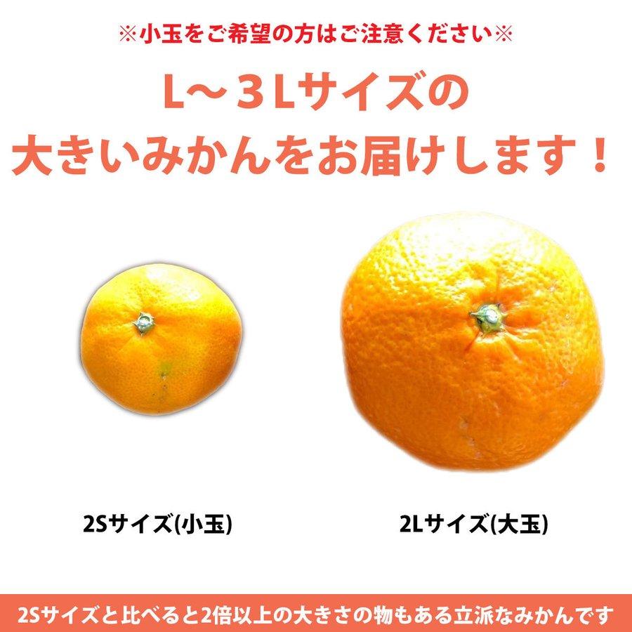 みかん 9kg 甘い ご家庭用 お徳用 大玉 訳あり 極早生 L〜3Lサイズ 35〜60玉入り 愛媛 西宇和地区八幡浜市産 ポイント利用 : みかんの花 - 通販 - Yahoo!ショッピング
