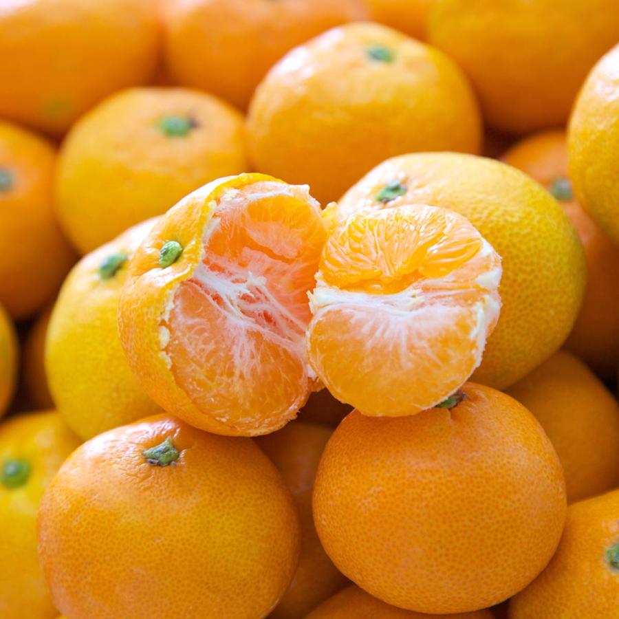 ミヤモトオレンジガーデン みかん 甘い 訳あり ご家庭用 3kg 2S〜3Lサイズ 15〜50玉前後入り 愛媛 西宇和 八幡浜 ミカン 蜜柑 ポイント利用 : みかんの花 - 通販 ...