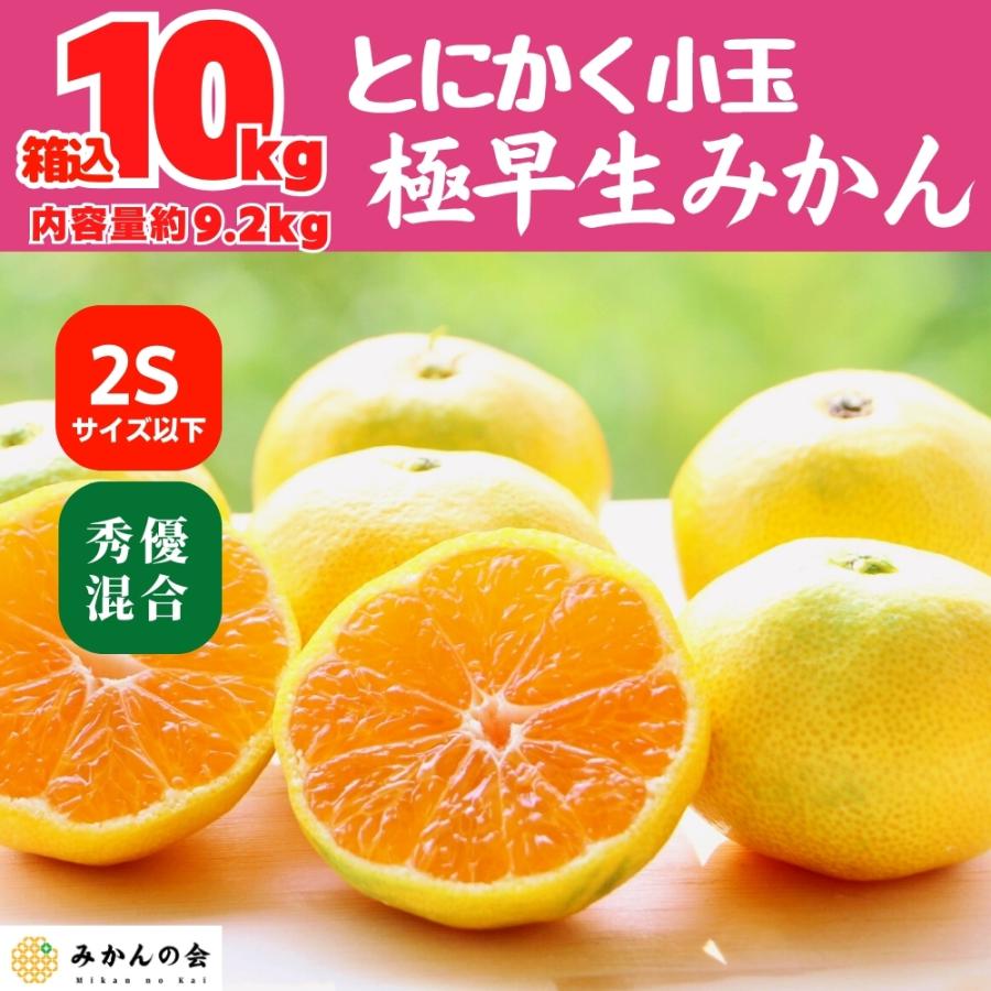 ※2025年度先行予約※ とにかく小玉 極早生 みかん 箱込 10kg ( 内容量 9.2kg ) 2Sサイズ以下 秀優混合 和歌山県産 有田みかん ※2025年10月10日より出荷 ...
