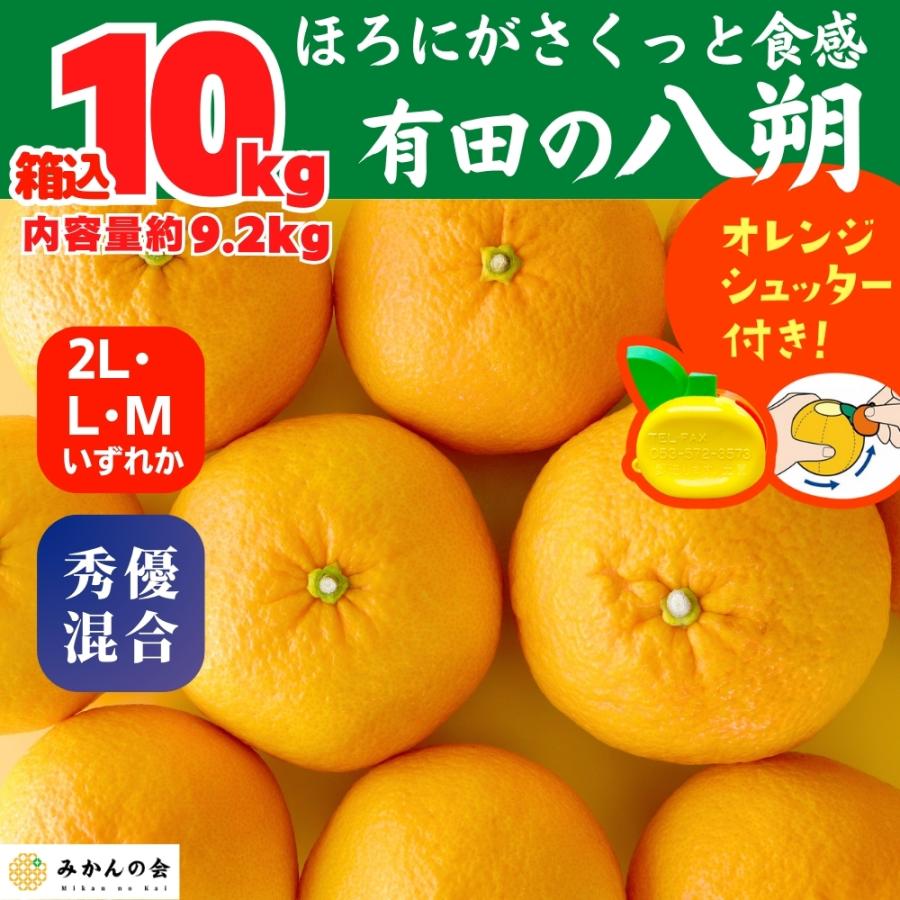 八朔 (はっさく) 秀品 優品 混合 玉ぞろい 箱込 10kg (内容量約 9.2kg ) 2L L Mサイズのいずれか 和歌山県産 産地直送【おまけ付き】 : 株式会社 みかんの会 - 通販 ...