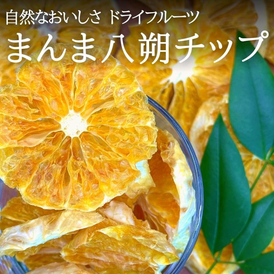まんま八朔(はっさく)チップ 200g(20g×10袋) ドライフルーツ 和歌山県産 【みかんの会】 : 株式会社 みかんの会 - 通販 - Yahoo!ショッピング