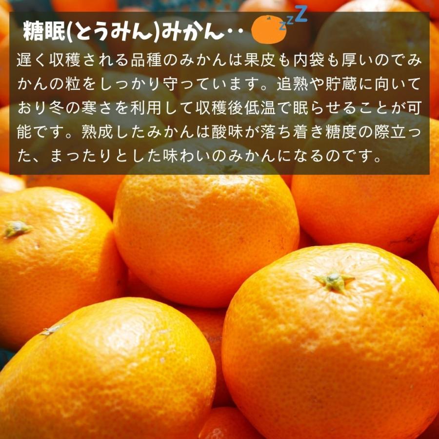 【先行予約】 熟成 みかん とにかく 小玉 箱込 7.5kg ( 内容量 6.8kg ) 2Sサイズ以下 秀品 優品 混合 有田みかん 和歌山県産 産地直送 家庭用【みかんの会 ...