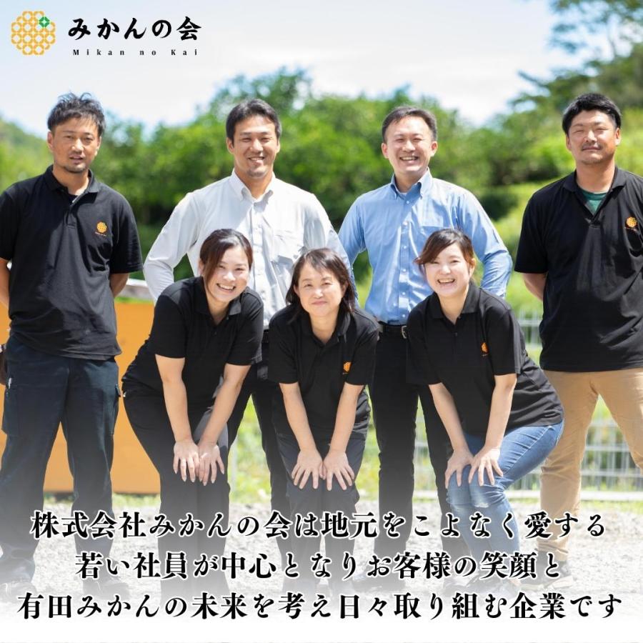 ※2025年度先行予約 みかん 大玉 どっこいしょ 箱込 10kg ( 内容量 9.2kg ) 2Lサイズ以上 秀品 優品 混合 和歌山県 有田みかん 家庭用 ※2025年11月15日より出荷 ...