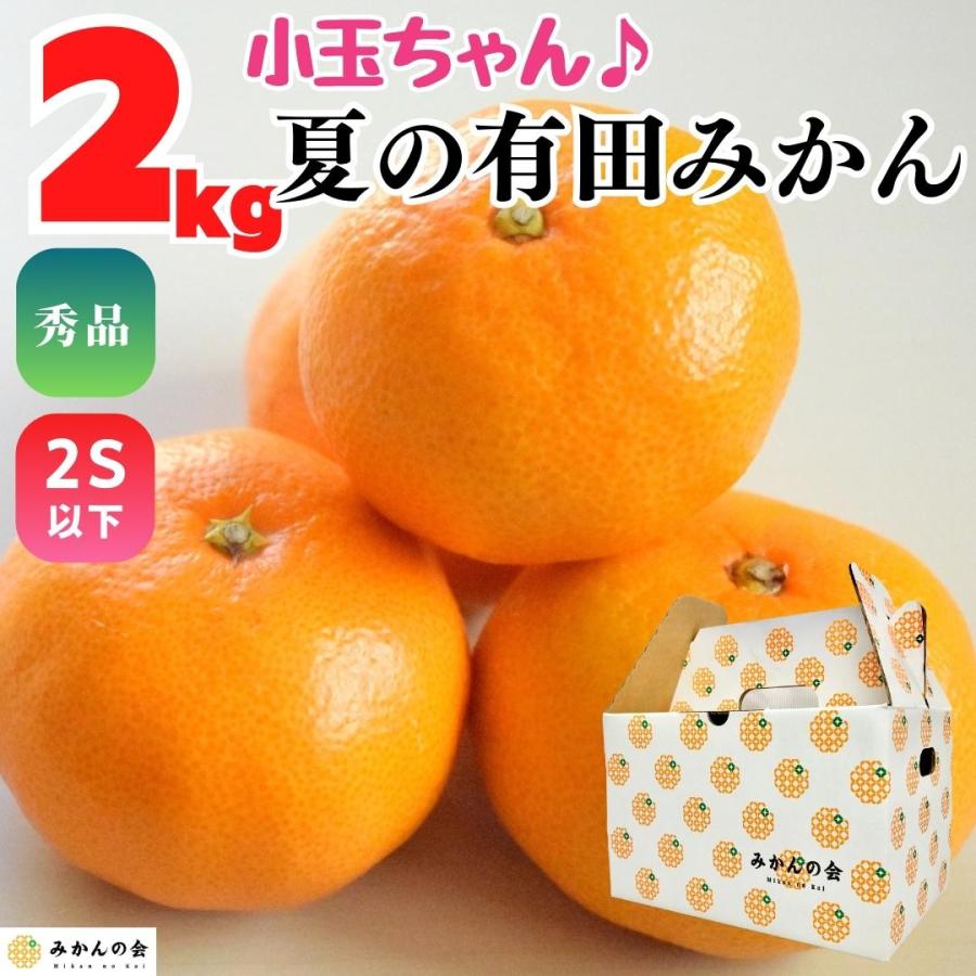 ハウスみかん 小玉ちゃん 温室栽培 夏の有田みかん 2kg 秀品 2S サイズ以下 和歌山県産 産地直送 : 株式会社 みかんの会 - 通販 - Yahoo!ショッピング