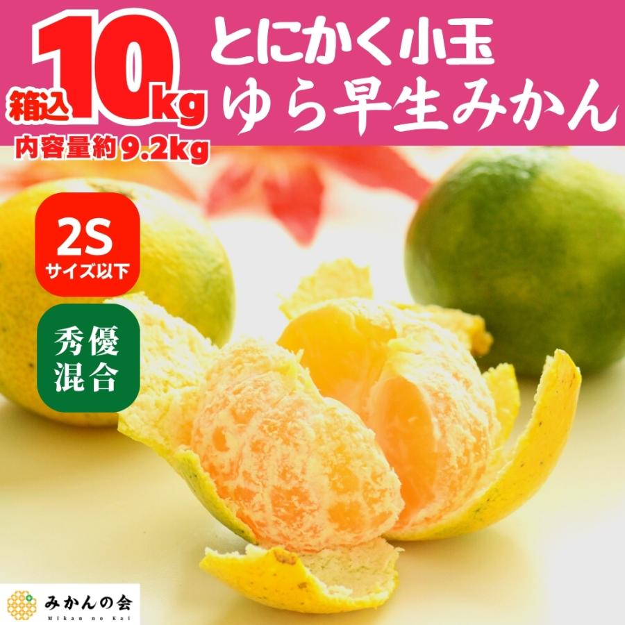 ※2025年度先行予約※ とにかく小玉 ゆら早生 みかん 箱込 10kg ( 内容量 9.2kg ) 2Sサイズ以下 秀品 優品 混合 有田みかん 和歌山県 ※2025年10月20日より出荷 ...