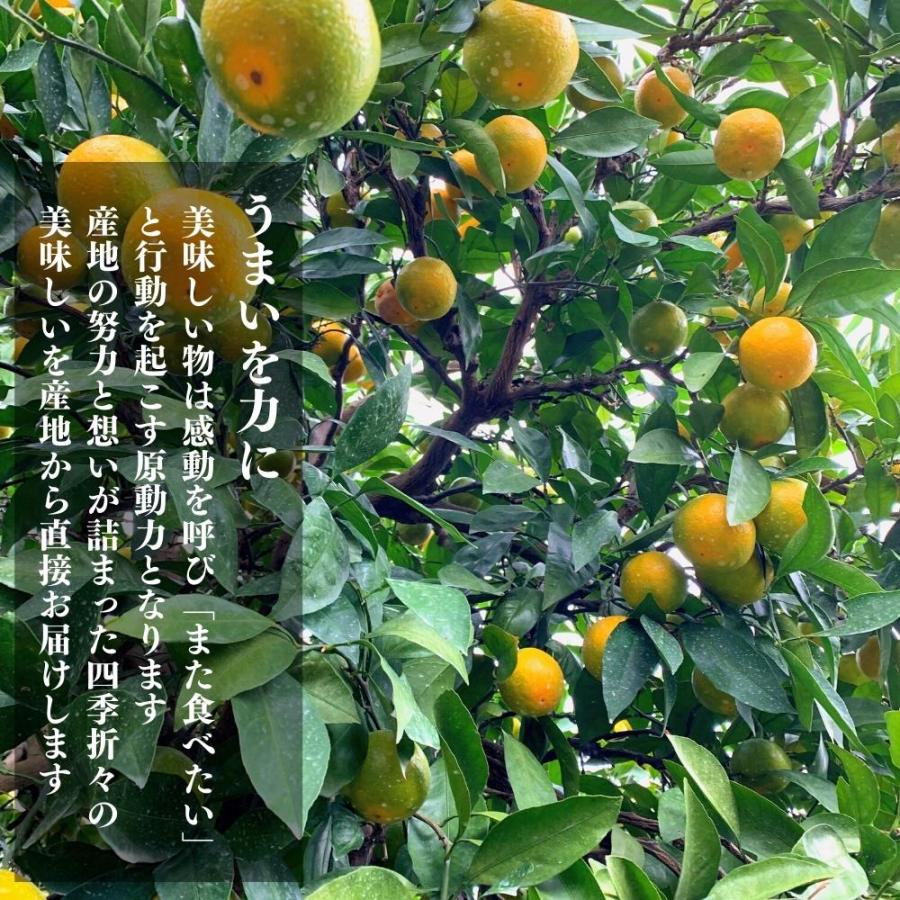 ※2025年度先行予約※ とにかく小玉 ゆら早生 みかん 箱込 10kg ( 内容量 9.2kg ) 2Sサイズ以下 秀品 優品 混合 有田みかん 和歌山県 ※2025年10月20日より出荷 ...