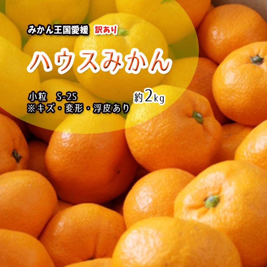 ハウスみかん 訳あり 小玉 愛媛県産 みかん 送料無料 約2kg S-2S : みかん横丁ヤフーショップ - 通販 - Yahoo!ショッピング