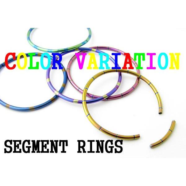 ボディピアス ストライプカラー セグメントリング（Mサイズ） 14G SGR-stcolor-M : アクセサリーと雑貨 MILESマイルズ ...