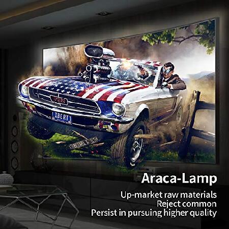 Araca RLC-079 (OEMオリジナル電球内側) Viewsonic PJD7820HD PJD7820HD PJD7822HDL ...