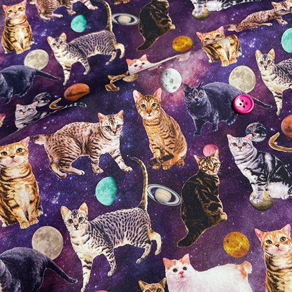 猫柄生地 nora. デイドリームキャット （50cm単位） : 002915 : 猫雑貨MIMIKOBO - 通販 - Yahoo!ショッピング