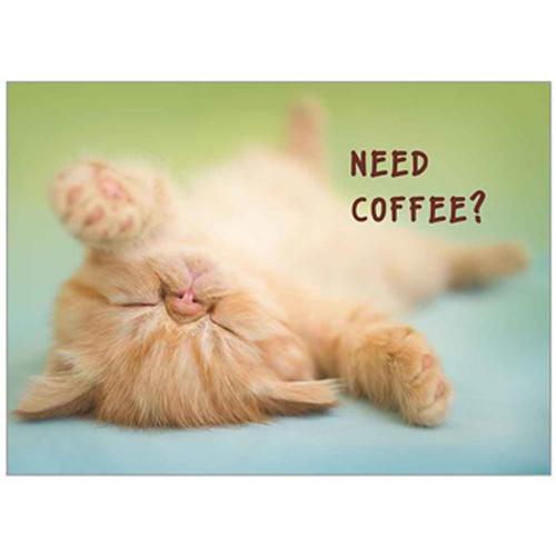 【レイチェル・ヘール】猫の激励カード 仰向けにゃんこ : 002924 : 猫雑貨MIMIKOBO - 通販 - Yahoo!ショッピング