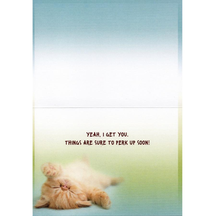 【レイチェル・ヘール】猫の激励カード 仰向けにゃんこ : 002924 : 猫雑貨MIMIKOBO - 通販 - Yahoo!ショッピング