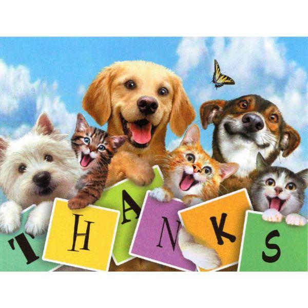 猫と犬のミニサンクスカード ハワード・ロビンソン セルフィーサンクス : 003177 : 猫雑貨MIMIKOBO - 通販 - Yahoo!ショッピング