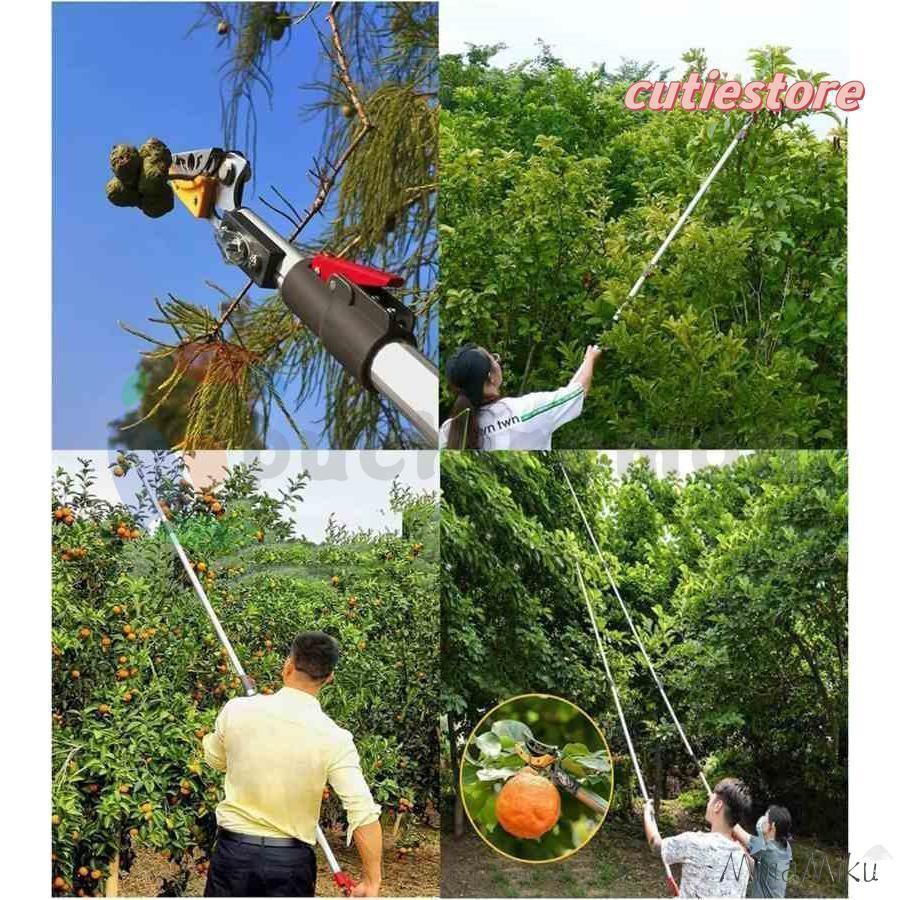 高枝切りバサミ 3m 4m 5m 伸縮式高枝切鋏 鋸付き 伸縮式 剪定鋏 高枝鋏 高枝用 SK5 高所 園芸用はさみ 太枝切鋏 枝切り 枝分け 高枝切り鋏 万能はさみ : ミナミコウギョウ ...