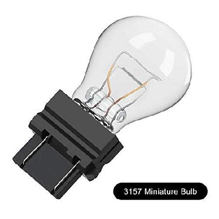 Mudder 10個 3157LL 電球 3157 ミニチュア電球 長寿命ミニ電球 ブレーキライト用 : b085drgd71 : ミナモ ...