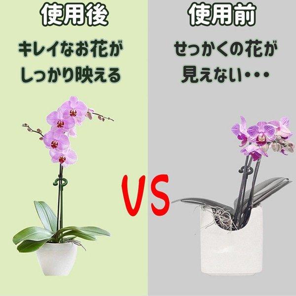 園芸 用 支柱 30本セット 花 フラワー ささえ 観葉植物 花支え ガーデニング ココスティック 農業 家庭菜園 (送料無料)mmk-s66 : 輸入雑貨のお店 マインドワン - 通販 ...