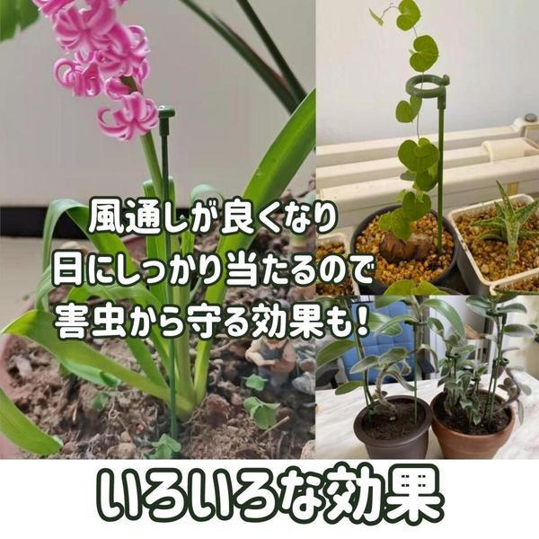 園芸 用 支柱 30本セット 花 フラワー ささえ 観葉植物 花支え ガーデニング ココスティック 農業 家庭菜園 (送料無料)mmk-s66 : 輸入雑貨のお店 マインドワン - 通販 ...