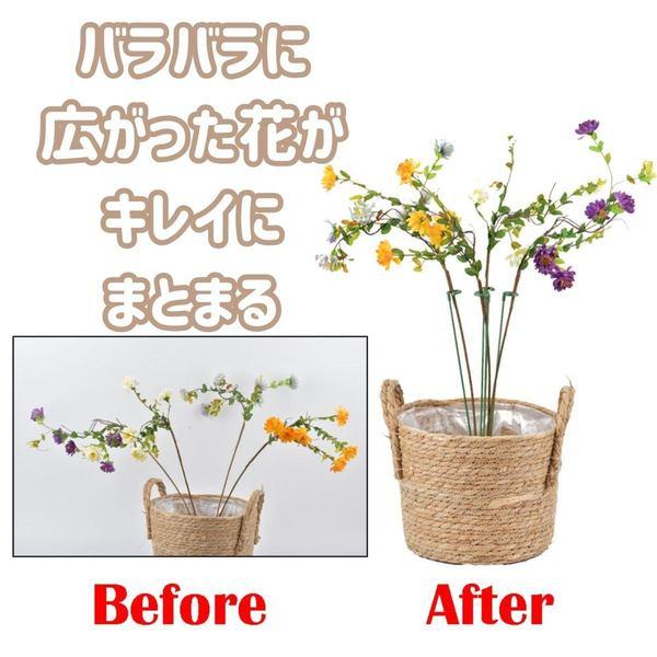 園芸 用 支柱 30本セット 花 フラワー ささえ 観葉植物 花支え ガーデニング ココスティック 農業 家庭菜園 (送料無料)mmk-s66 : 輸入雑貨のお店 マインドワン - 通販 ...