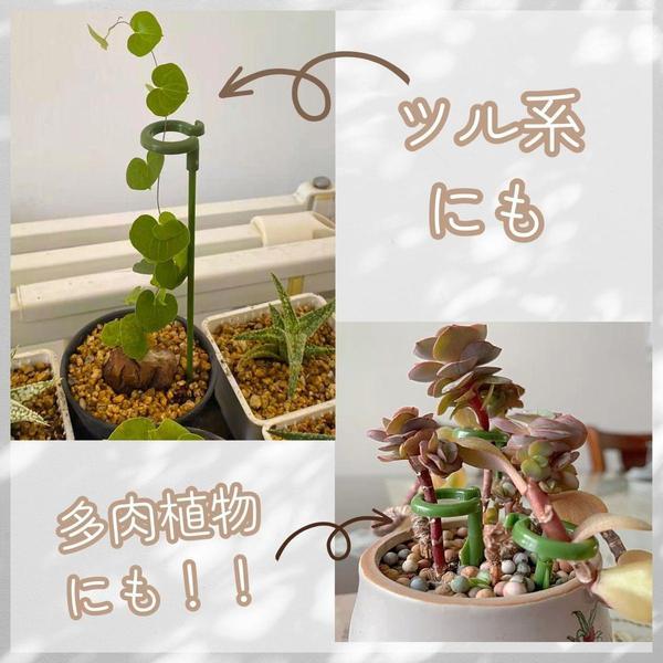 園芸 用 支柱 30本セット 花 フラワー ささえ 観葉植物 花支え ガーデニング ココスティック 農業 家庭菜園 (送料無料)mmk-s66 : 輸入雑貨のお店 マインドワン - 通販 ...