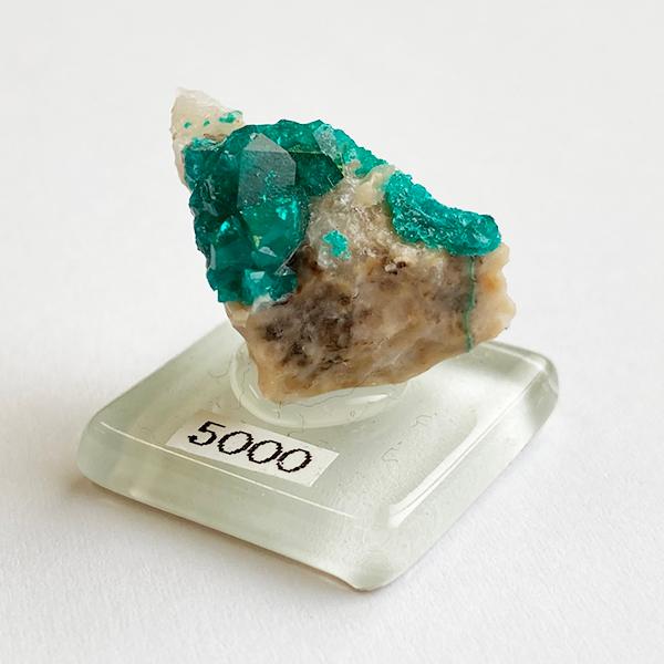 ダイオプテーズ_翠銅鉱〈dioptase〉 : Mineral&Fossil - 通販 ダイオプテーズ_翠銅鉱〈dioptase〉 : Mineral&Fossil - 通販