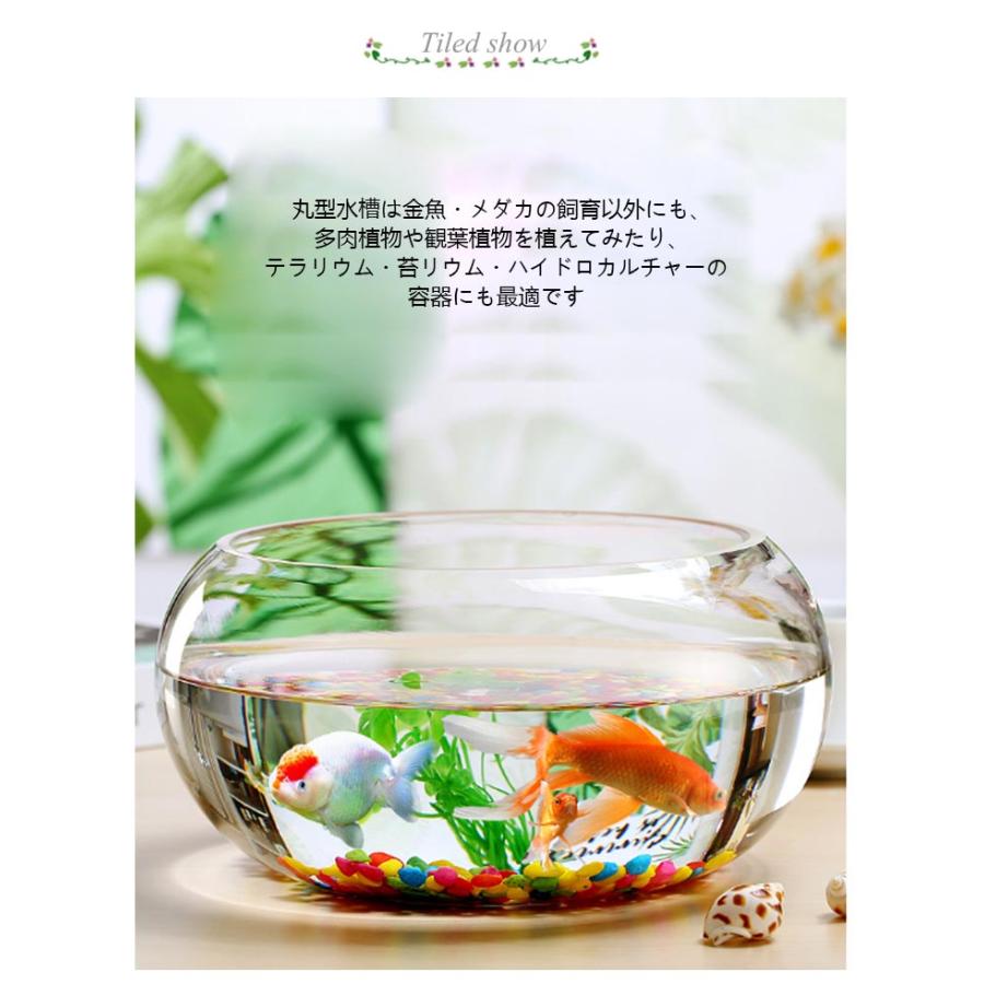 高透明度 金魚鉢 丸型金魚鉢 水槽 小型水槽 飼育水槽 ミニ水槽 ガラス メダカ 透明 おしゃれ 丸 鉢 金魚 ベタ メダカ鉢 花瓶 フラワーベース : minoakaYahoo!店 - 通販 ...