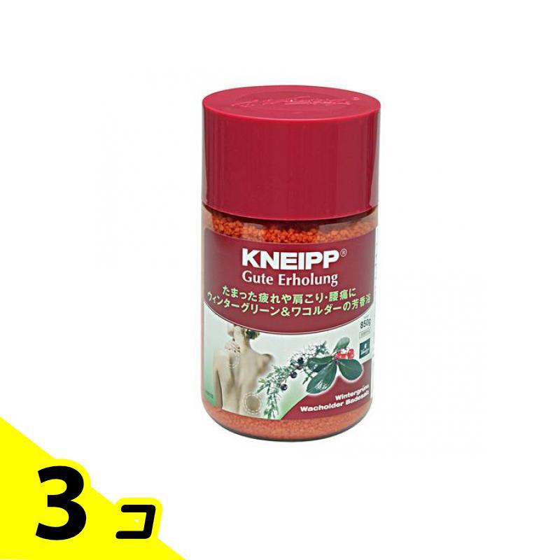 クナイプ(KNEIPP) グーテエアホールング バスソルト ウィンターグリーン&ワコルダーの香り 850g 3個セット : 1758913174-3-e : みんなのお薬バリュープライス ...