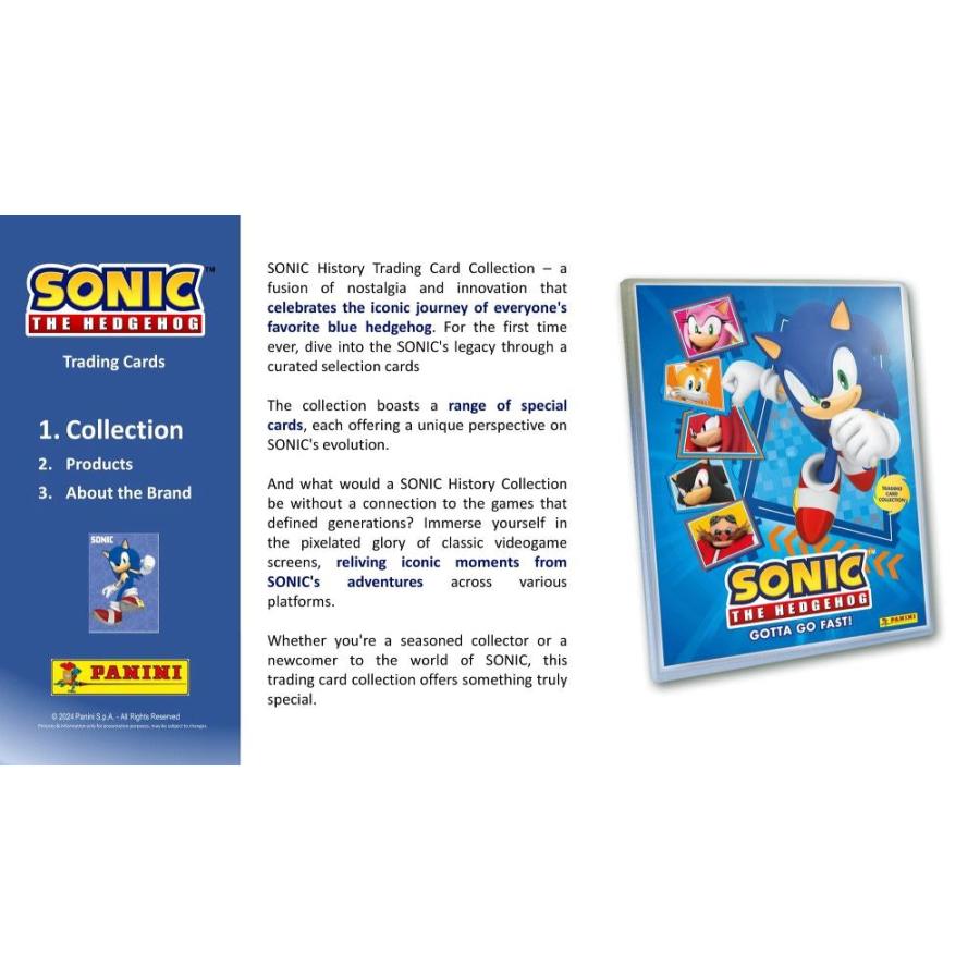 2024 PANINI SONIC THE HEDGEHOG STARTER PACK : カードショップMINT - 通販 - Yahoo ...