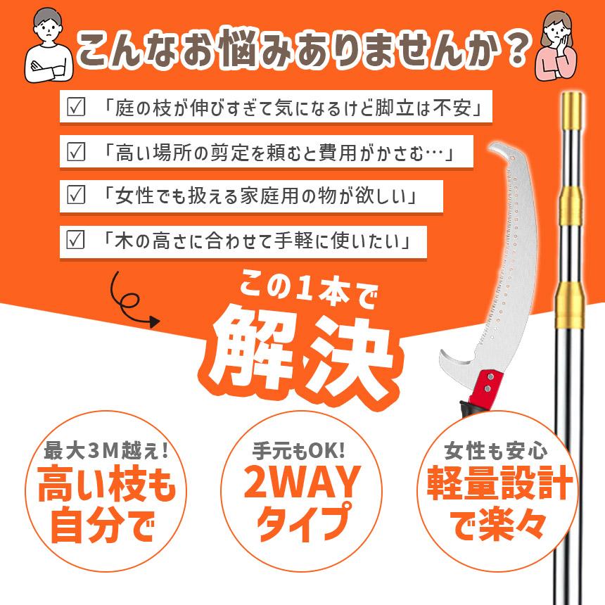 高枝ノコギリ 伸縮式 高枝切りノコ 切断のこぎり 高枝切りバサミ 高枝鋸 3m 伸縮ポール 枝切り 剪定 園芸用品 庭木 果樹 剪定のこぎり 高所作業 : 未来ネットワーク - 通販 ...