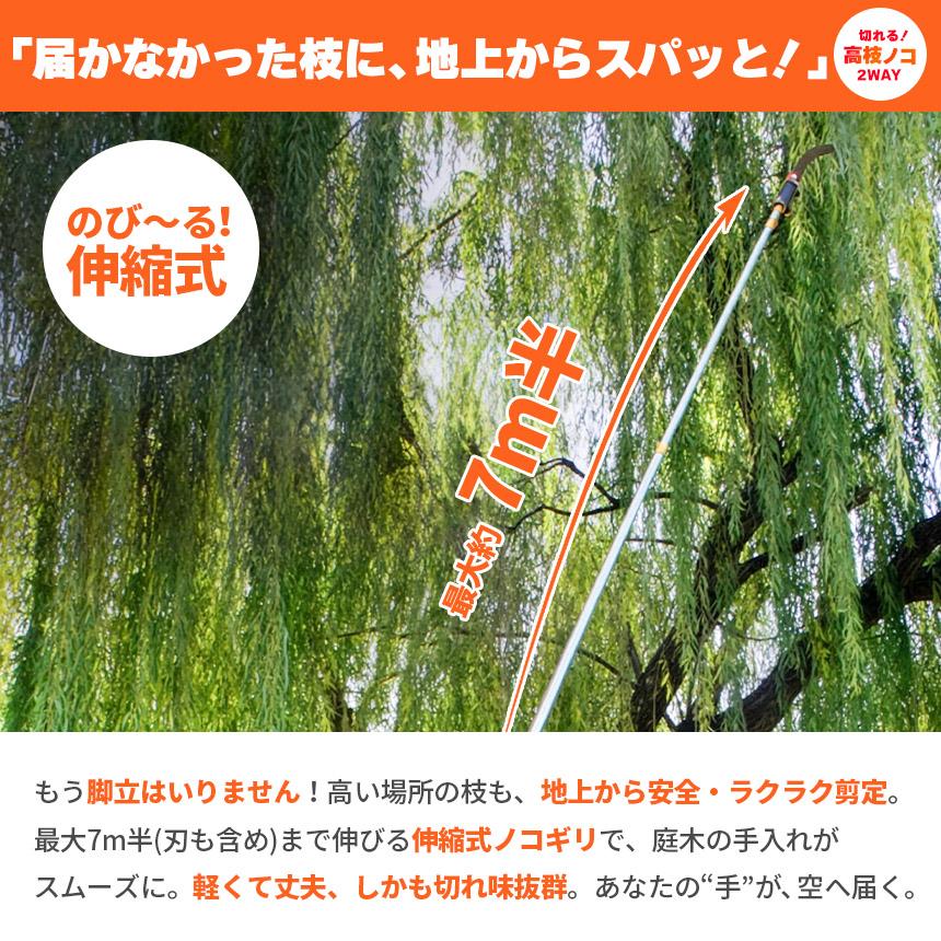 高枝ノコギリ 伸縮式 高枝切りノコ 切断のこぎり 高枝切りバサミ 高枝鋸 7m 伸縮ポール 枝切り 剪定 園芸用品 庭木 果樹 剪定のこぎり 高所作業 : 未来ネットワーク - 通販 ...