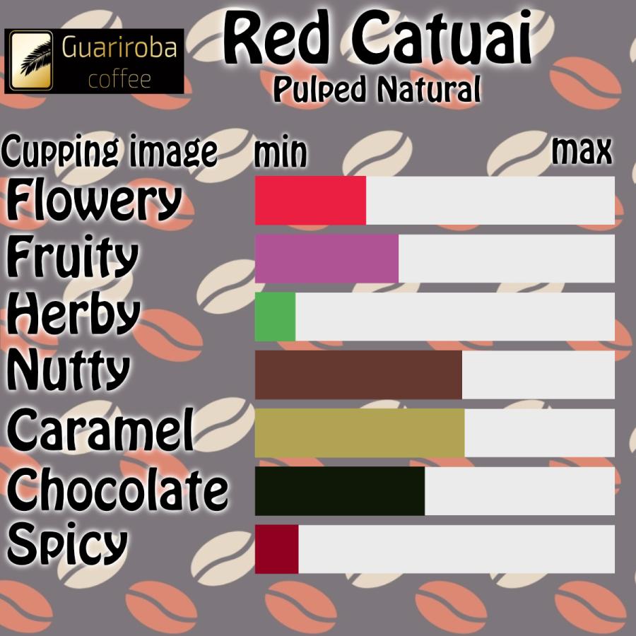 RED CATUAI - Pulped Natural レッドカトゥアイ・パルプドナチュラル グアリロバ農園 スイートシリーズ スペシャルティ ...