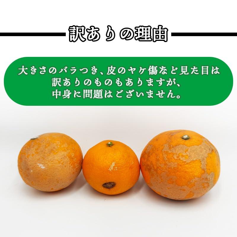 カラマンダリン 愛媛県産 10kg 訳あり みかん なつみ 柑橘 : みさわのやさい - 通販 - Yahoo!ショッピング