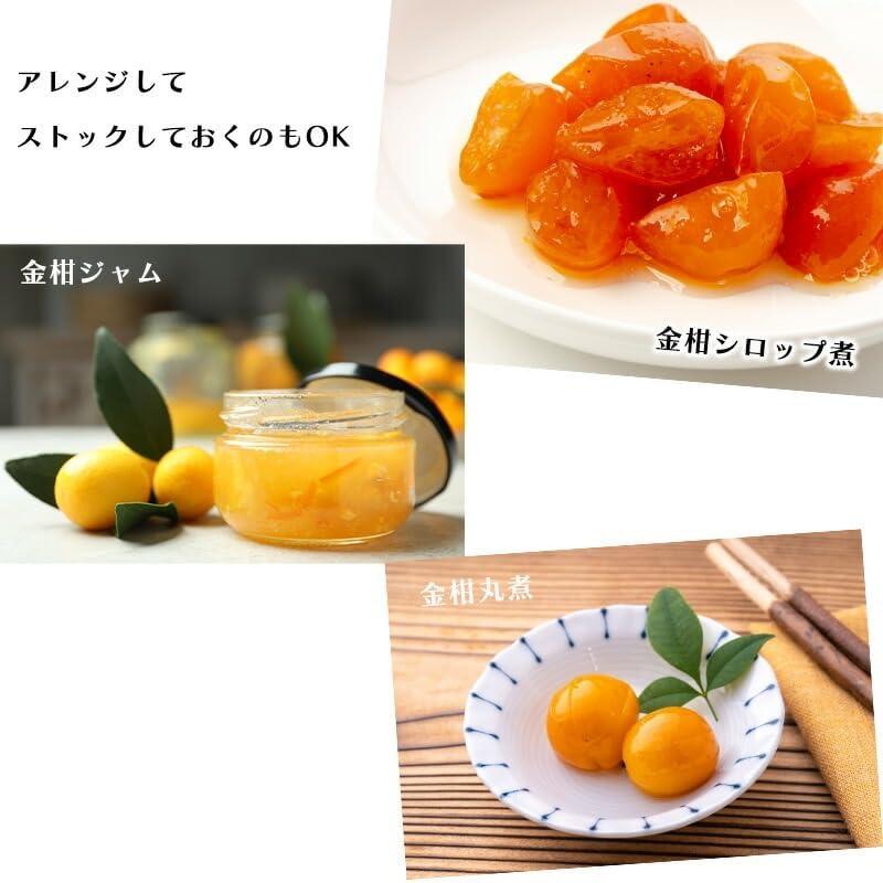 訳あり きんかん 1kg 2Lサイズ 金柑 ご家庭用 宮崎県産 キンカン スレ 汚れ 黒点あり : みさわのやさい - 通販 - Yahoo!ショッピング