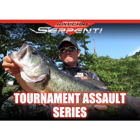 エバーグリーン カレイドセルペンティ TKSS-61MLST サイトイーグル : 07021-tkss61mlst : ミシマつり具店 - 通販 - Yahoo!ショッピング