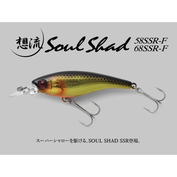 JACKALL ジャッカル ソウルシャッド58SSR-F : ミシマつり具店 - 通販 - Yahoo!ショッピング