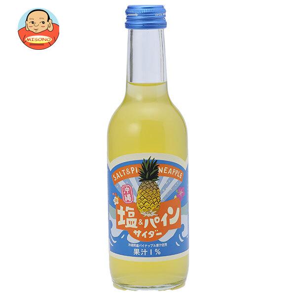 友桝飲料 塩&パインサイダー 245ml瓶×24本入 : b95-139 : 味園サポート ヤフー店 - 通販 - Yahoo!ショッピング