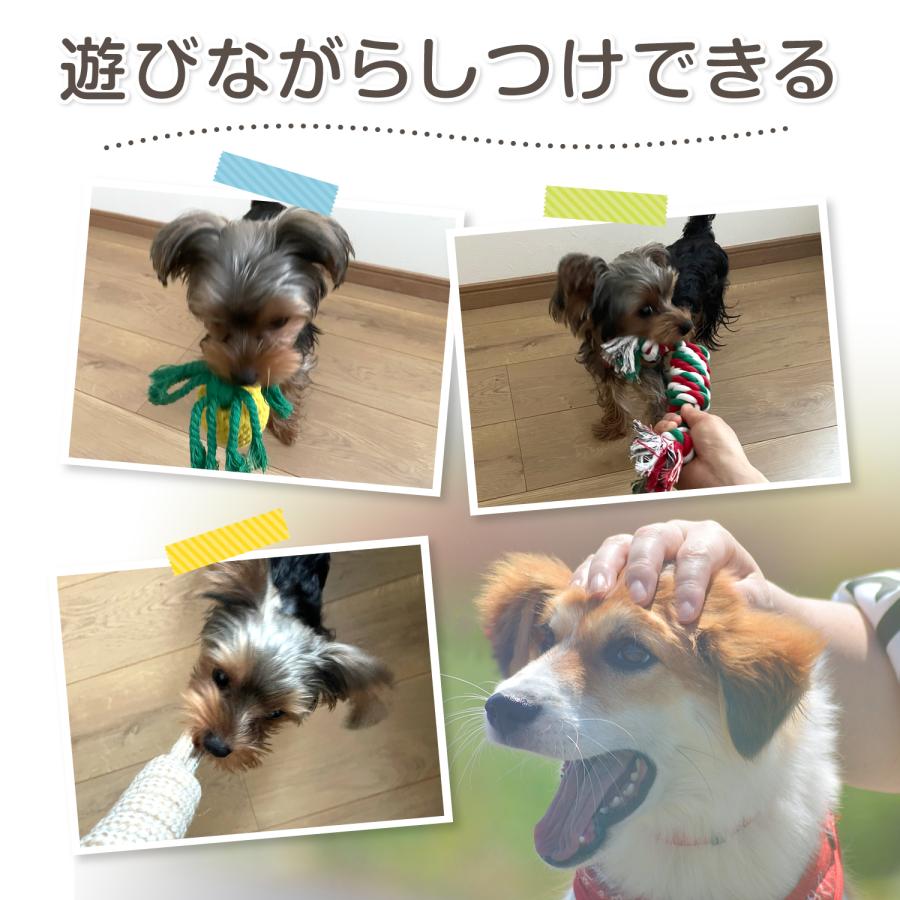 FOily TOily 犬ロープおもちゃ 犬おもちゃ 犬用玩具 噛むおもちゃ ペット用 綿 麻 ストレス解消 丈夫 耐久性 清潔 小/中型犬に ...