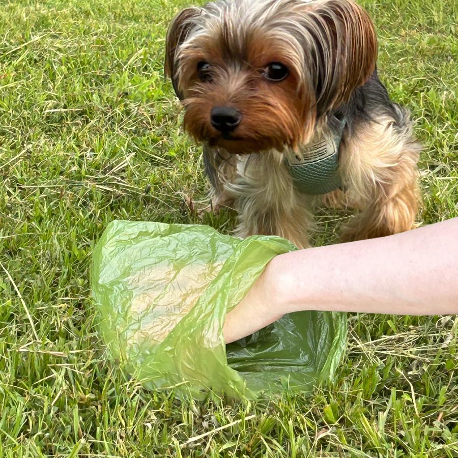 FOily TOily 犬 マナーポーチ 散歩 うんち袋 ポーチ ペット用 ウンチ処理袋 トイレ袋 ハンズフリー 犬用 1ロールうんち袋付き ...