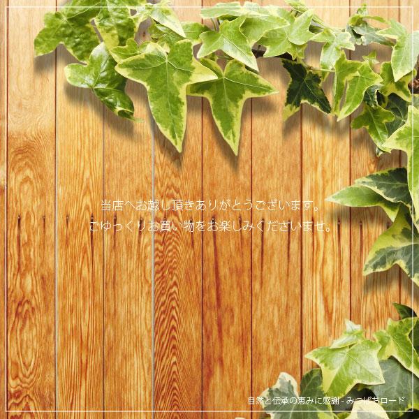 アンジコはち蜜 瓶 （500g） サンフローラ 「5250円以上で送料無料」 : 自然と伝承の恵み-みつばちロード - 通販 - Yahoo!ショッピング