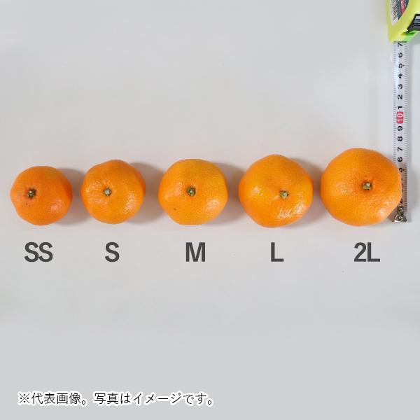 みかん 和歌山県産 愛媛県産 熊本県産 など ふぞろい2L〜3Lサイズ 8kg 外観 A【 】B【 】C【〇】 : みっつのこだわり - 通販 - Yahoo!ショッピング