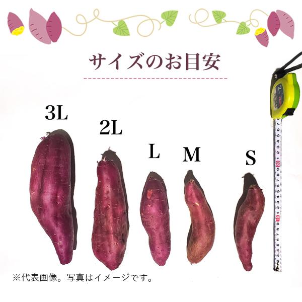 国産 さつまいも L〜2L 5kg ＊ランク A【 】B【 】C【〇】サツマイモ 焼きいも 野菜 新鮮 : みっつのこだわり - 通販 - Yahoo!ショッピング