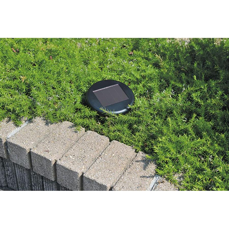 セーブ・インダストリー SAVE ソーラー式モグラ撃退器 DX SV-6384 : みうハウス - 通販 - Yahoo!ショッピング