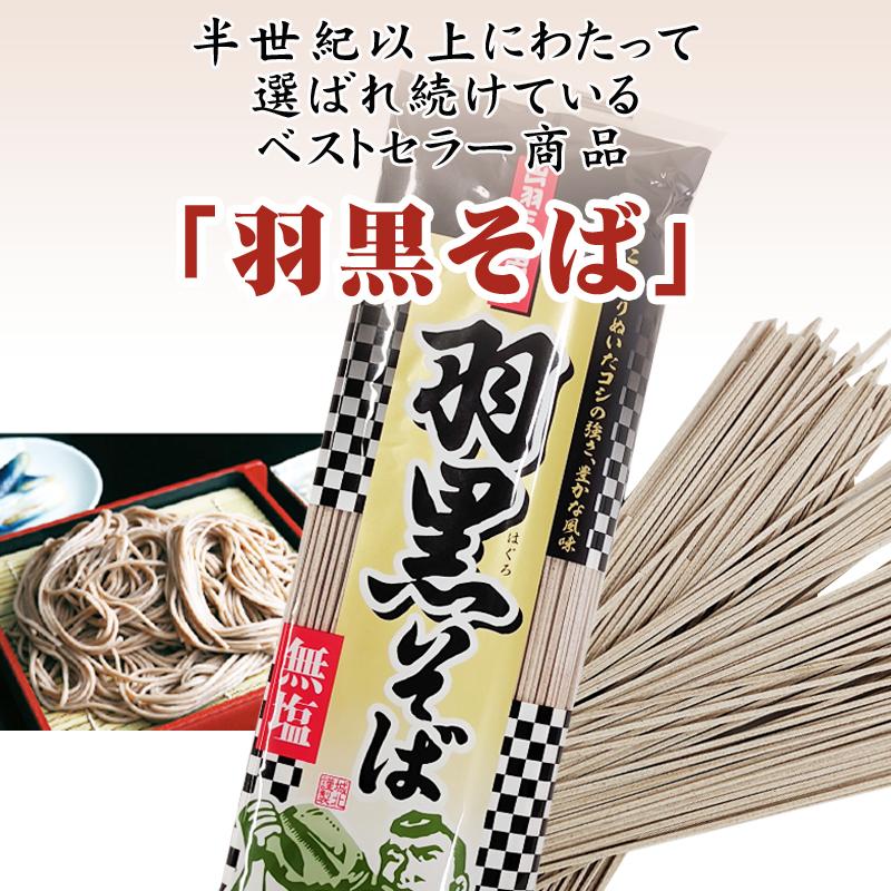 そば 羽黒そば 2袋 360g (180g×2) 4人前 無塩 山形県 出羽三山名物 お試し 送料無料 メール便 NP [羽黒そば180g×2袋 BS] 即送 : 東北の農産特産品アグリ ...