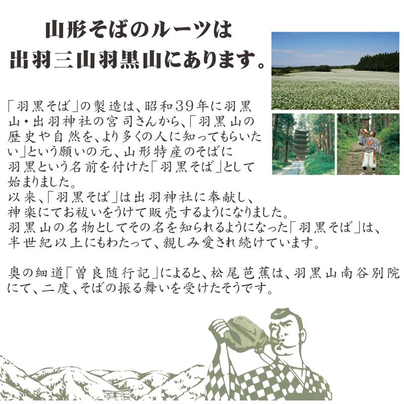 そば 羽黒そば 3袋 540g (180g×3) 6人前 無塩 山形県 出羽三山名物 お試し 送料無料 メール便 NP [羽黒そば180g×3袋 BM] 即送 : 東北の農産特産品アグリ ...