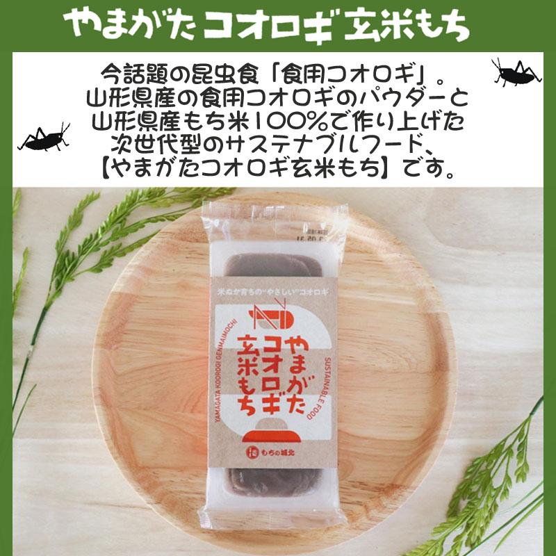 在庫処分 賞味期限間近 昆虫食 こおろぎ 玄米餅 480g (6個入り×2) パウダー 食用 もち 送料無料 メール便 YP [訳あり コオロギ玄米もち2箱 L3] 即送 : 東北の農産特産品 ...