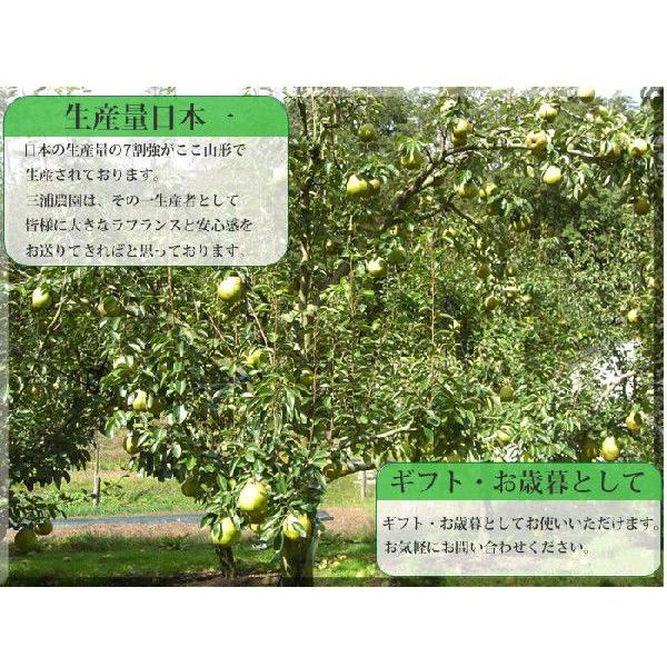 大玉3L・9玉・約3kg 山形県産洋梨 洋ナシの女王ラフランス 送料無料 [ラフランス3L3キロ] : 東北の農産特産品アグリパートナー - 通販 - Yahoo!ショッピング