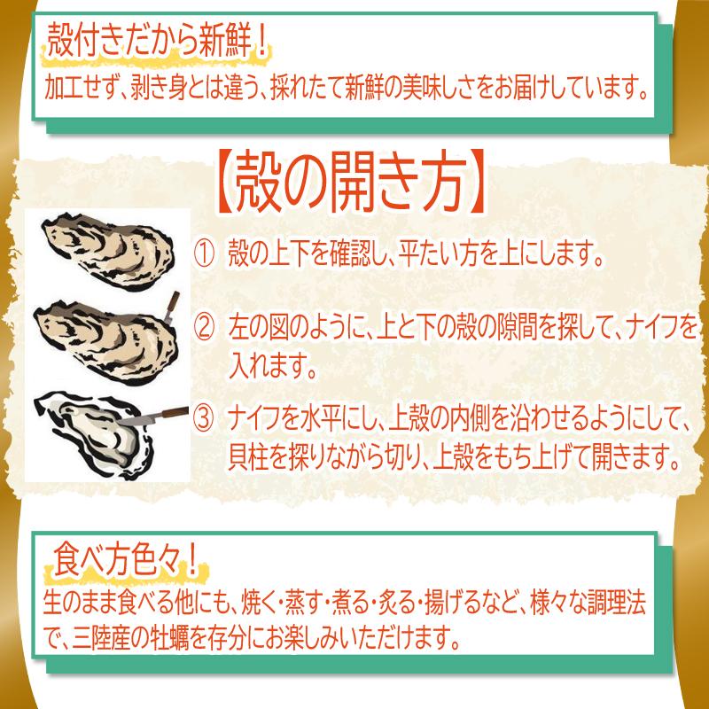 冷凍牡蠣 3kg 120〜250g/個 無選別 MLミックス 宮城県 三陸産 生食可 業務用 ご家庭用 お取寄 おうちグルメ 送料無料 [冷凍 牡蠣 殻付き 3kg] : 東北の農産特産品 ...