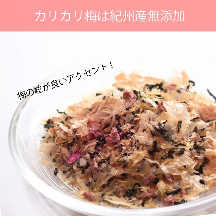 だし ふりかけ 無添加 40g × 選べる 4袋 (160g) / 体にやさしい 送料無料 国産 かつお節 おかか あご 昆布 わかめ 高級だしみずのと : 高級だしmizunoto - 通販 ...