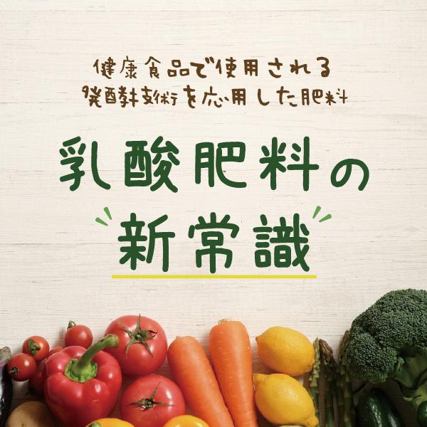 乳酸発酵技術 応用液体肥料 MKグリーン 1,000g 野菜 果物【肥料】 : 有機肥料MKグリーン - 通販 - Yahoo!ショッピング